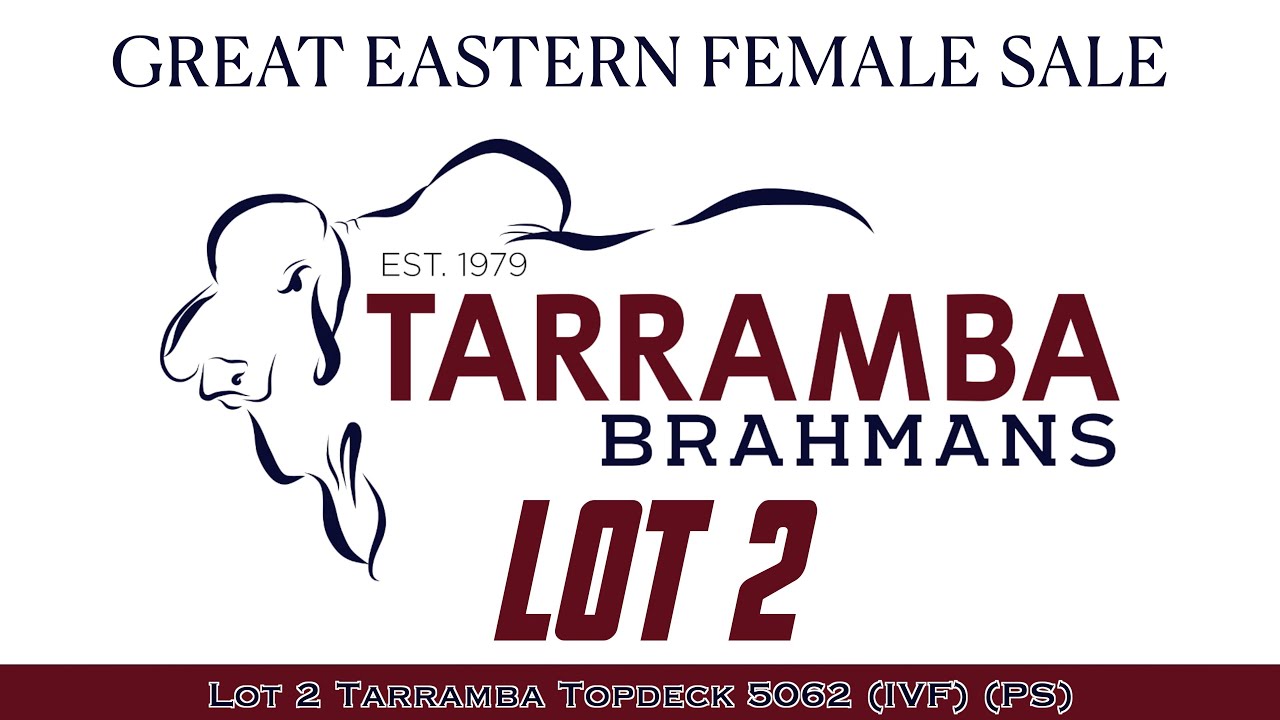 Lot 2 Tarramba Topdeck 5062 (IVF) (PS) - YouTube