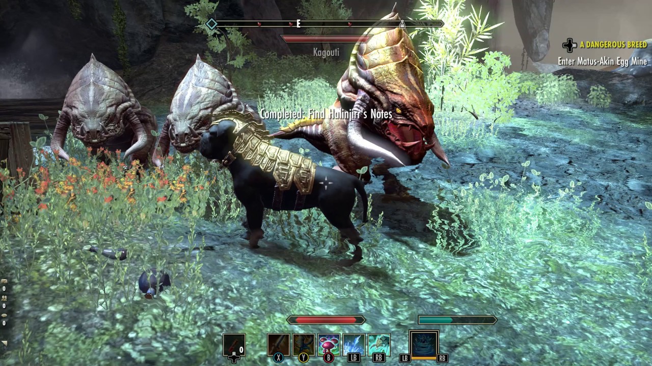 Elder Scrolls Online Morrowind Planting Misinformation Zainsipilu ...