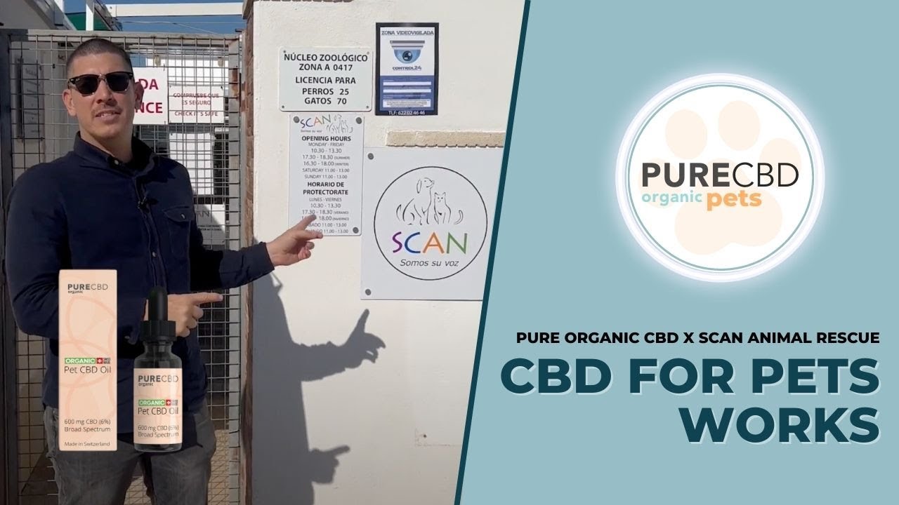 Pure Organic CBD for Pets with SCAN Animal Shelter - YouTube