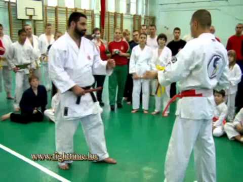 Robert-Manole-1.-Seminar in Békéscsaba - YouTube