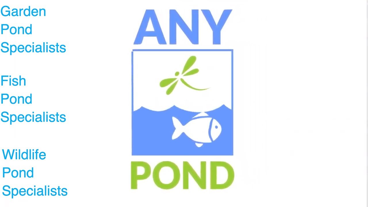 Mark Wilson - The Pond Advisor - Garden Pond Specialists - YouTube