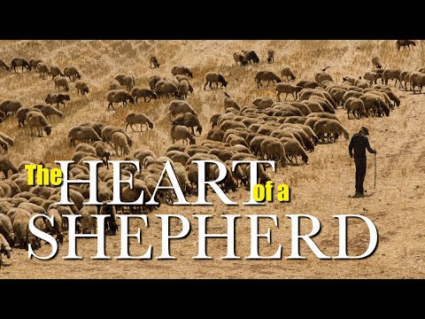 The Heart of a Shepherd - YouTube