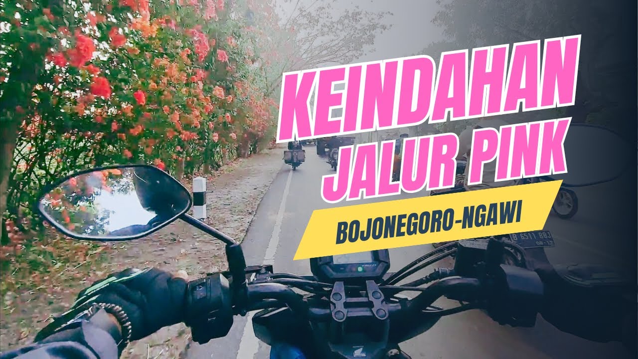KE INDAHAN "JALUR PINK" JALAN YANG SEPANJANG JALAN DI TANAMI BUNGA ...