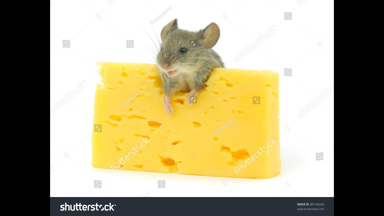 Inbetween Podcast 179: The mice and the cheese - YouTube