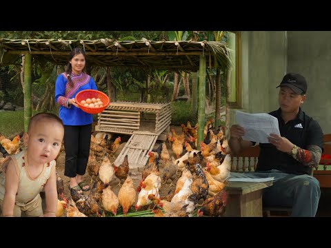 16-year-old single mother builds new chicken coop, collects first eggs - Jon gets a new assignment.