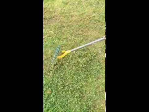 Thatching/ Removing clover from lawn - YouTube
