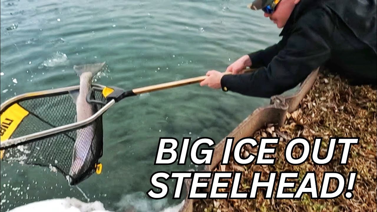 Ice Out Steelhead Fishing. - YouTube