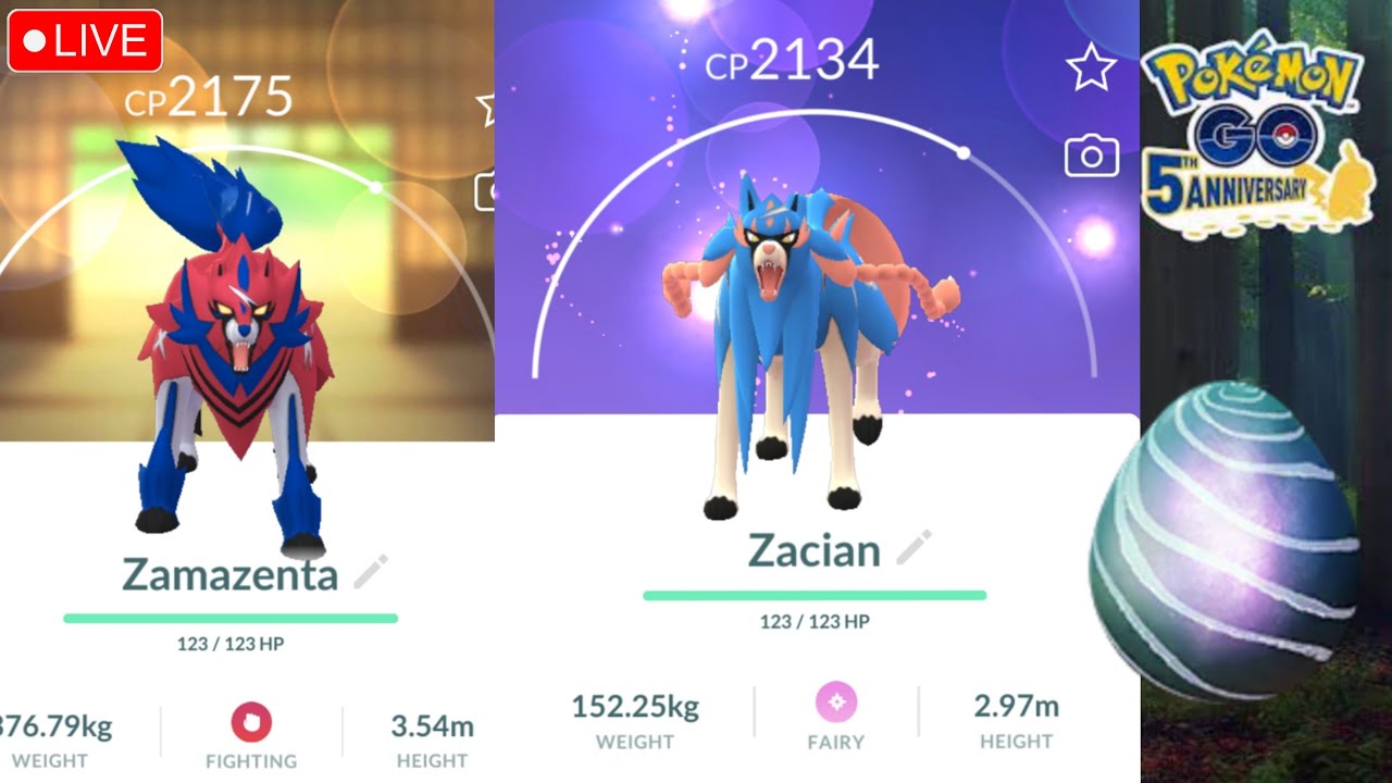 Pokémon GO Live | Zacian Raid | Zamazenta Raid - YouTube