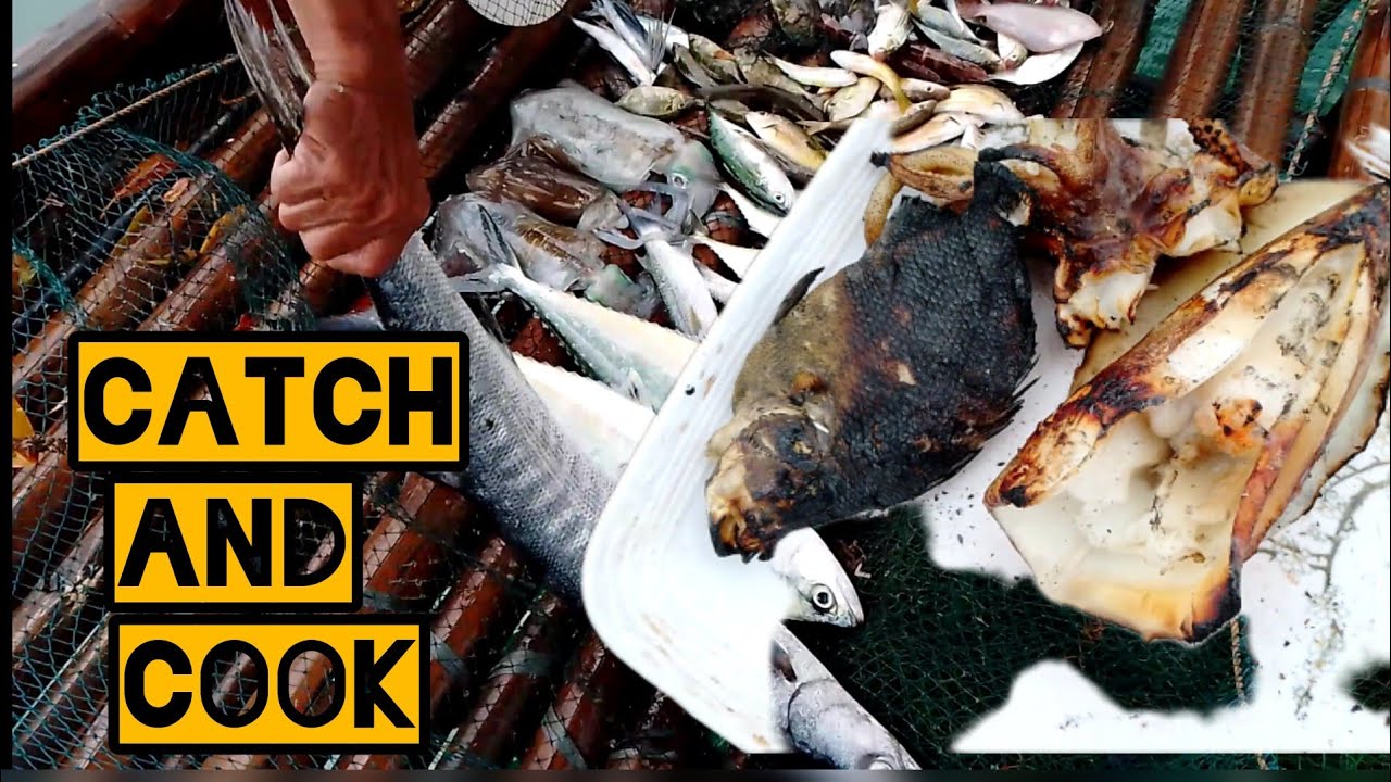 Catch and Cook Bunsod Fish trap Ep 5 #fishing - YouTube