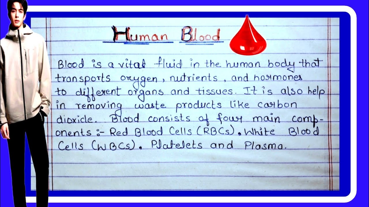 Essay on Human Blood/Essay On Human Blood in English/Human Blood - YouTube