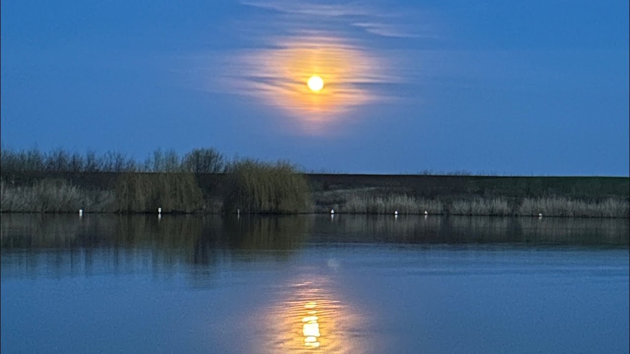 Robert Method Fishing este live! - YouTube