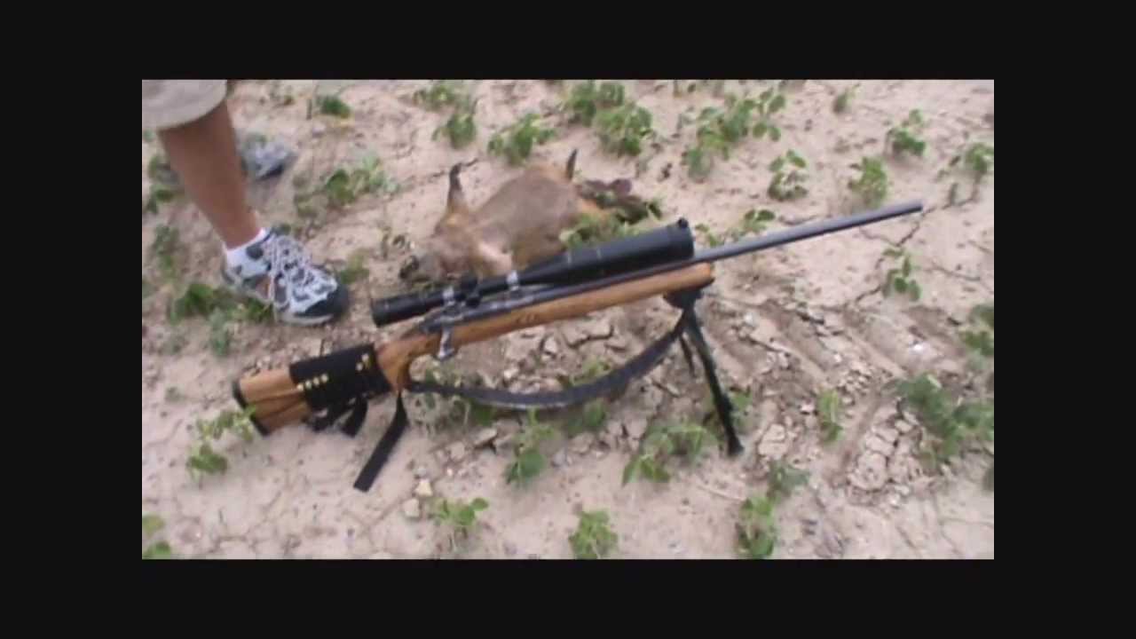 Groundhog Hunt 19, 300 yrds, Ruger mark 2 target - YouTube