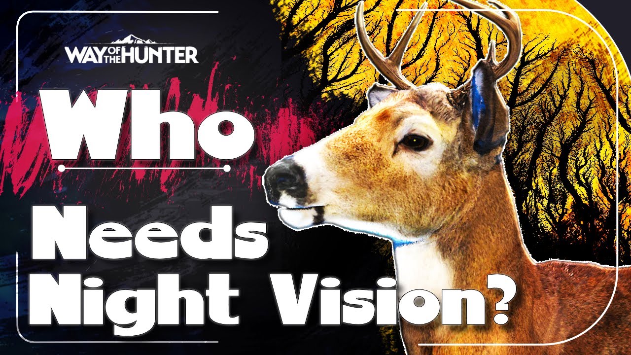 WAY OF THE HUNTER - NIGHT HUNTING - YouTube