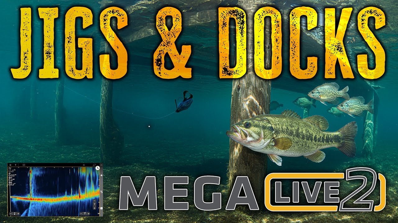 Mega Live 2 FINESSE JIG Secrets! STOP Missing Fish Holding Under Docks - YouTube