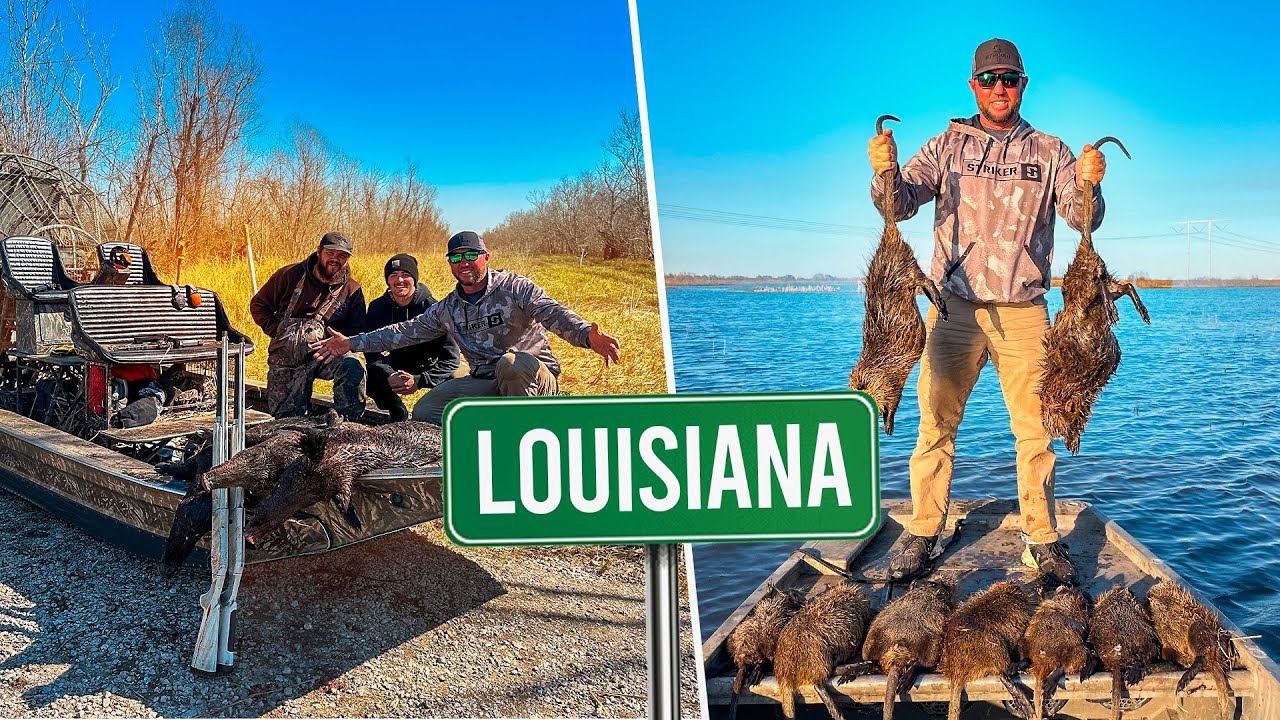 Fighting To Control GIANT Marsh RATS & Invasive HOGS! - YouTube