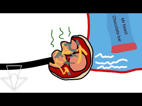 Watch this video before eat lunchly - YouTube