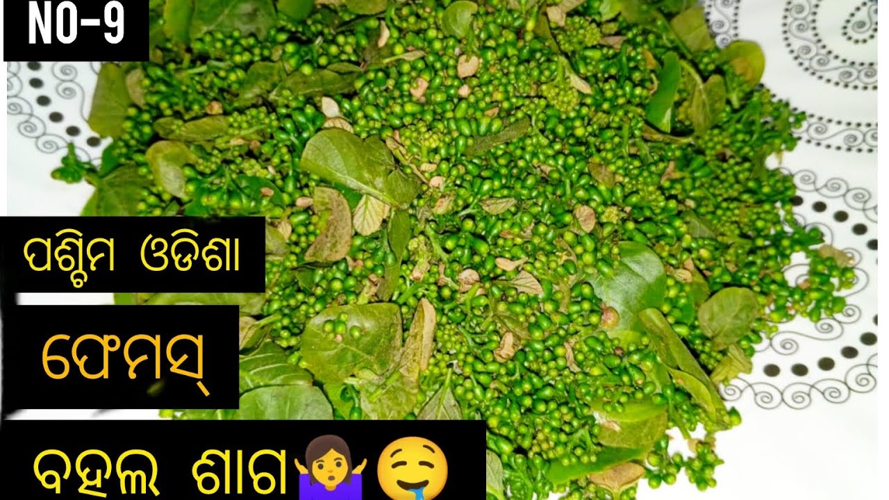 𝙋𝙖𝙨𝙘𝙝𝙞𝙢 𝙤𝙙𝙞𝙨𝙝𝙖 𝙛𝙖𝙢𝙤𝙪𝙨 𝙗𝙖𝙝𝙖𝙡 𝙨𝙖𝙜𝙖 𝙧𝙚𝙘𝙞𝙥𝙚🤤‼️ 𝙤𝙙𝙞𝙖 𝙧𝙚𝙘𝙞𝙥𝙚‼️ ...