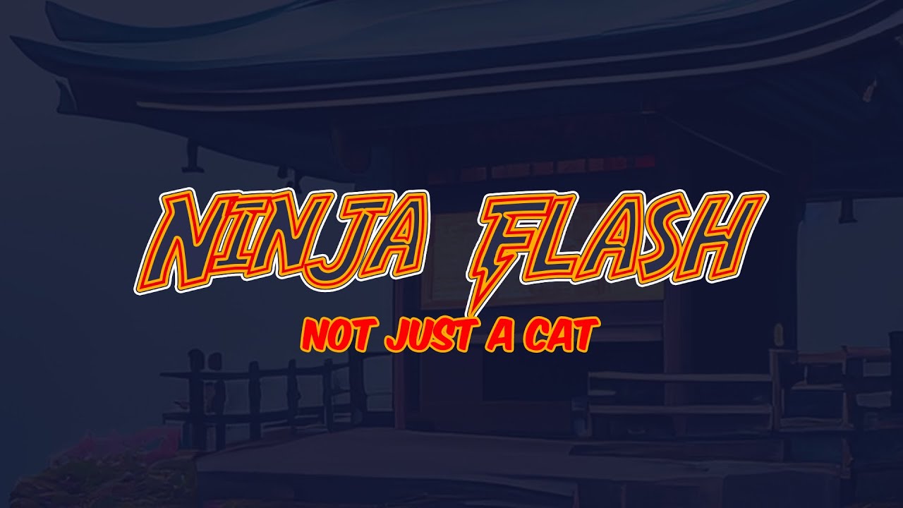 Ninja Flash: Superhero Cat - YouTube