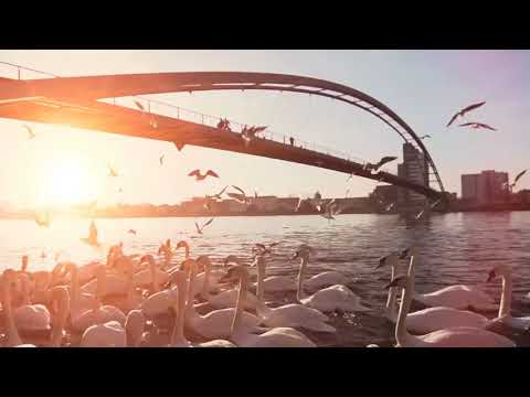 Dance of Life ~ Relaxing piano music,Beautiful Piano Music, Stress Relief,Meditation Music