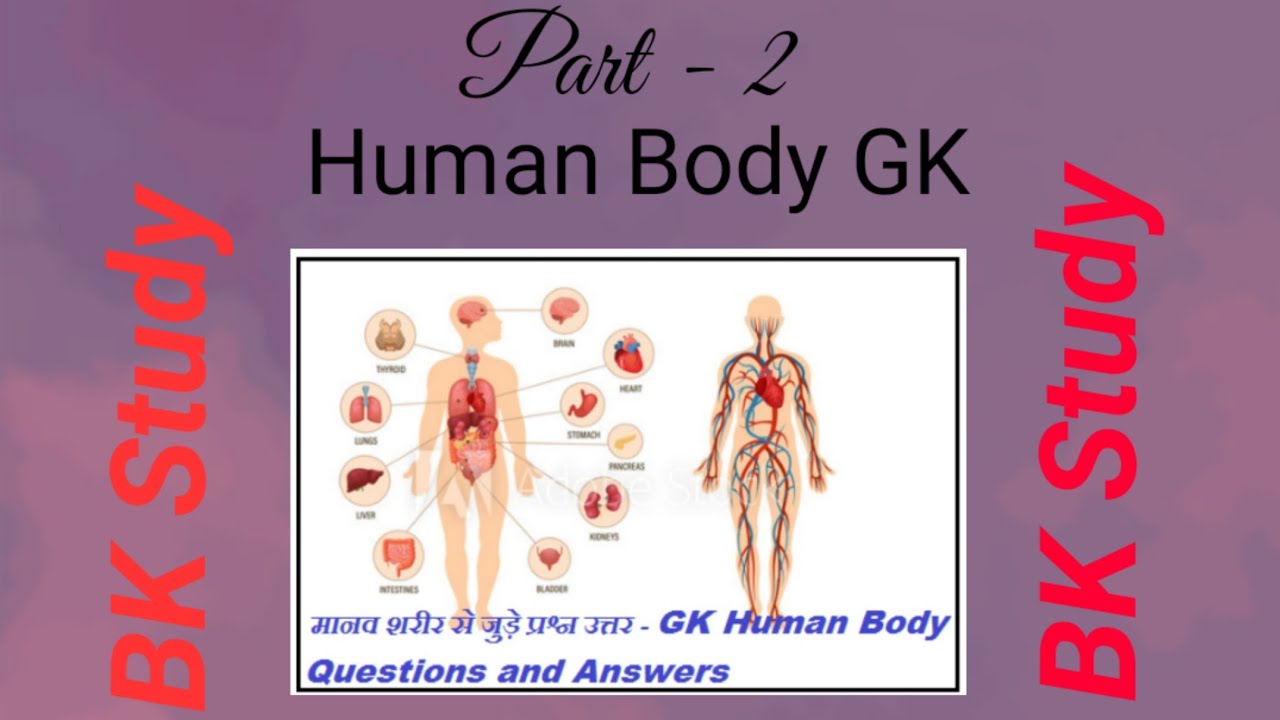 Gk About Human Body | Body GK,Human Body General Knowledge Questions ...