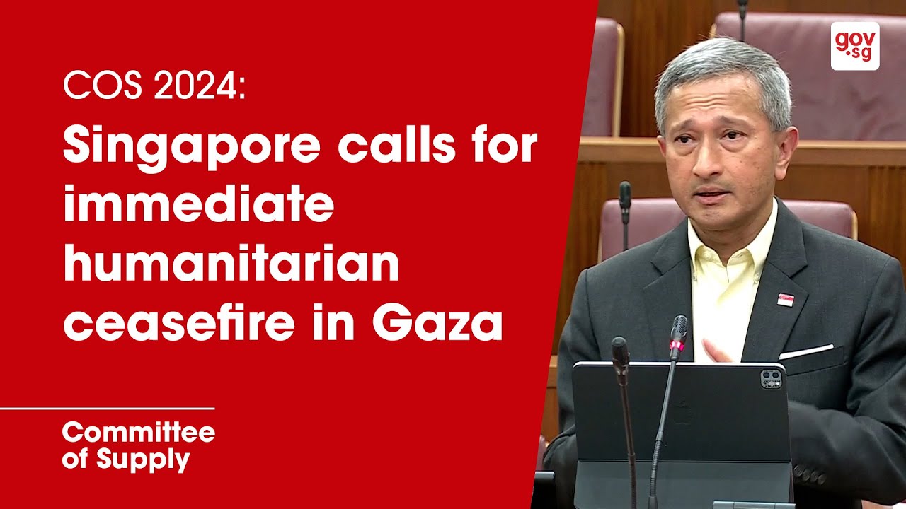 COS 2024: Singapore calls for immediate humanitarian ceasefire in Gaza ...