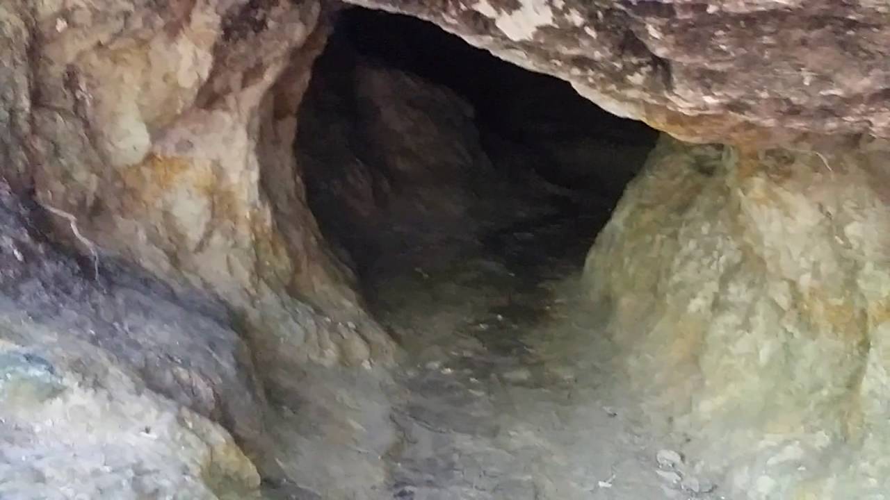 Louisiana Wolf Cave - YouTube
