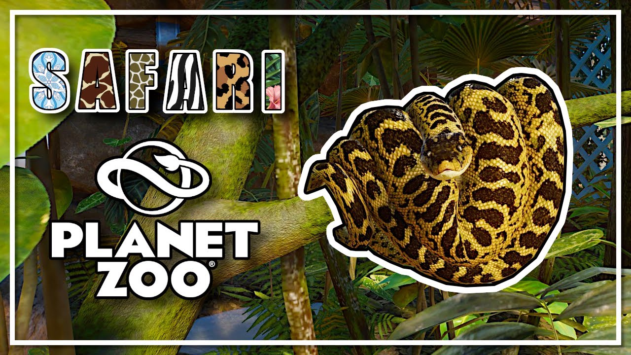 SAFARI Planet Zoo - #10 Anakonda żółta i OAZA - YouTube