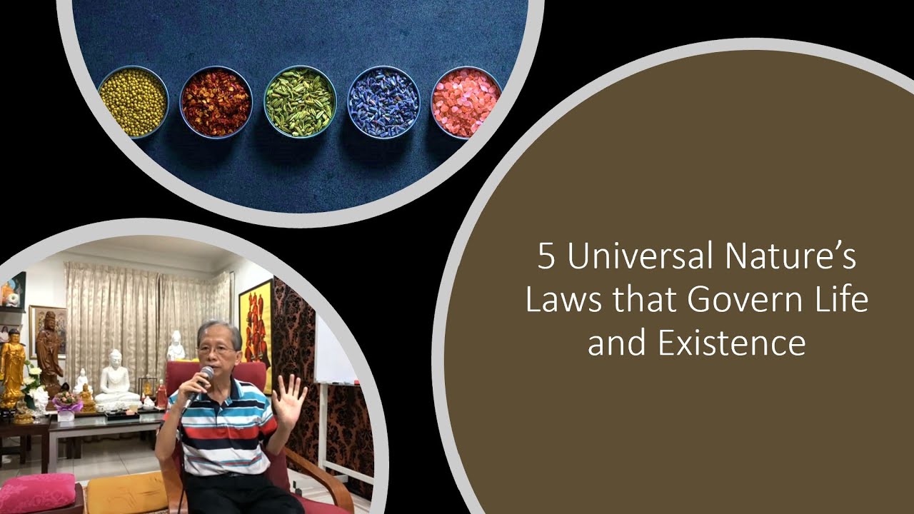 Understanding the 5 Universal Nature's Laws that governs Life ...