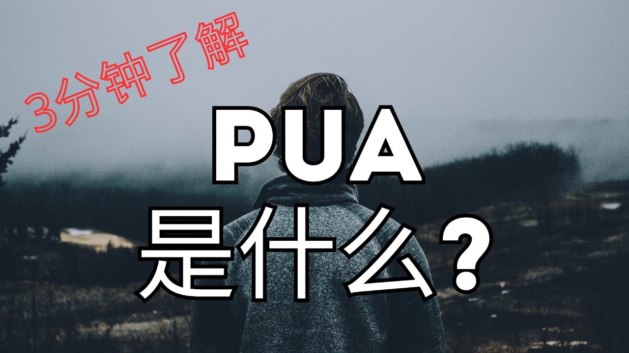 PUA 是什么？揭秘PUA对我们的影响 | 了解PUA行为 - YouTube