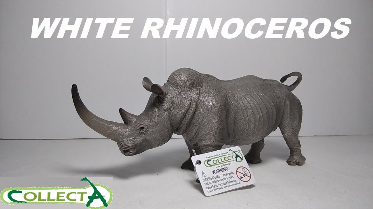 CollectA White Rhinoceros (88852) Figure Review! - YouTube
