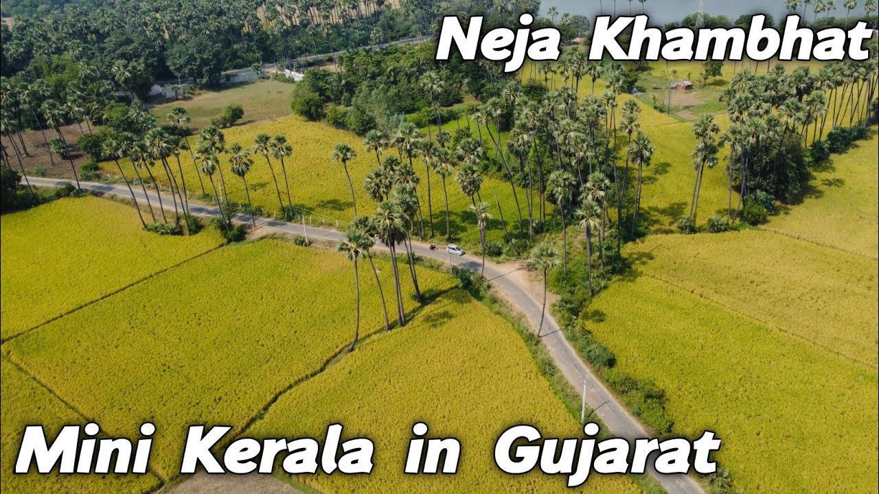Mini Kerala in Gujarat | Neja Khambhat | Amazing Drone Shots | 70 Kms ...
