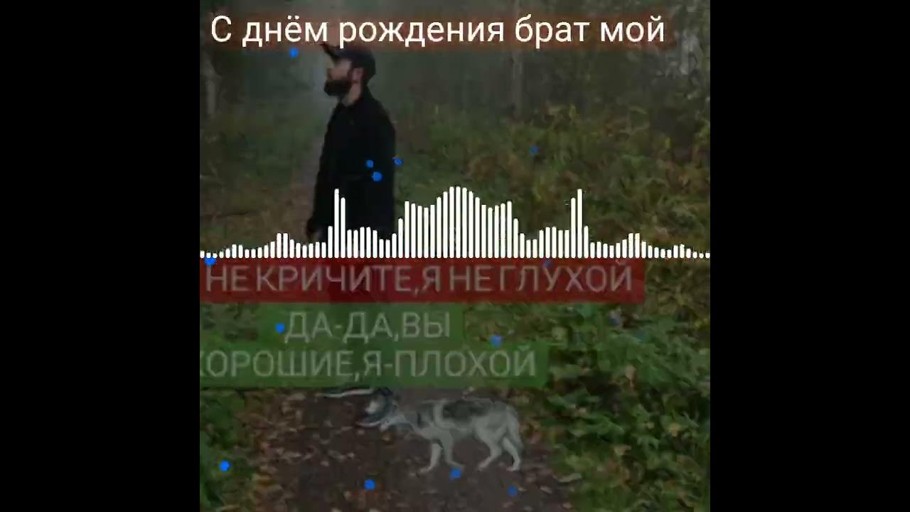 Волк Ветер=ветер 🐺🐺🦅🦁 - YouTube