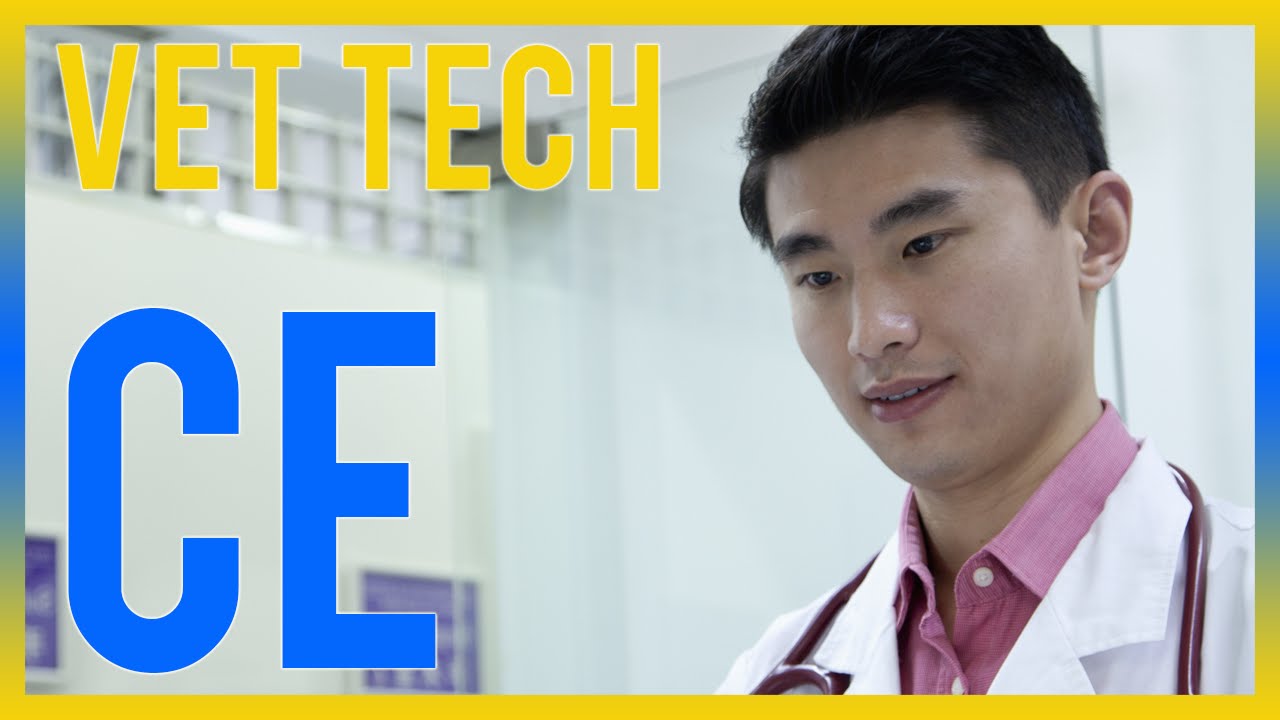 Vet Tech CE - Get Access Below - YouTube