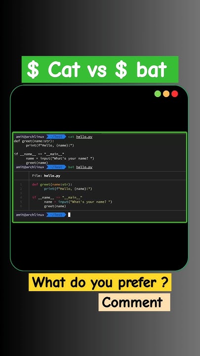 Bat vs Cat Command: Upgrade your Linux workflow #SudoIt - YouTube