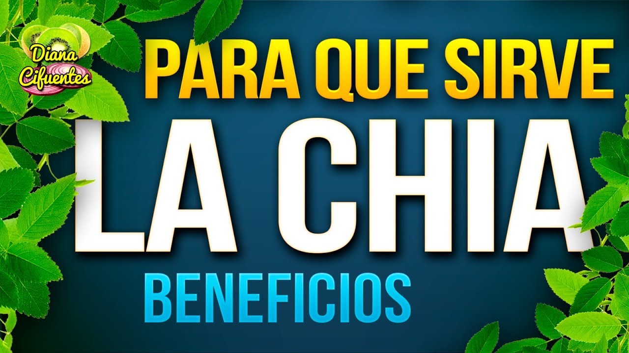Para Que Sirve La Chia - Propiedades, Beneficios Y Contraindicaciones ...