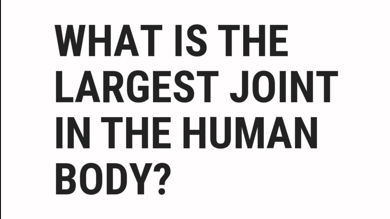 What Is The Largest Joint In The Human Body Top Quizzes Online YouTube