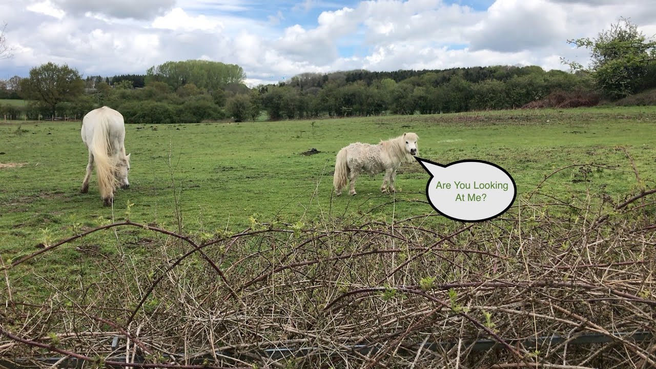 A Walk In Warwickshire - Lowsonford & Lapworth - YouTube