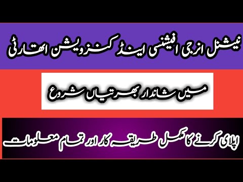 NEECA ( National Energy Efficiency Conservation Authority ) Jobs 2024 | how to apply complete ...