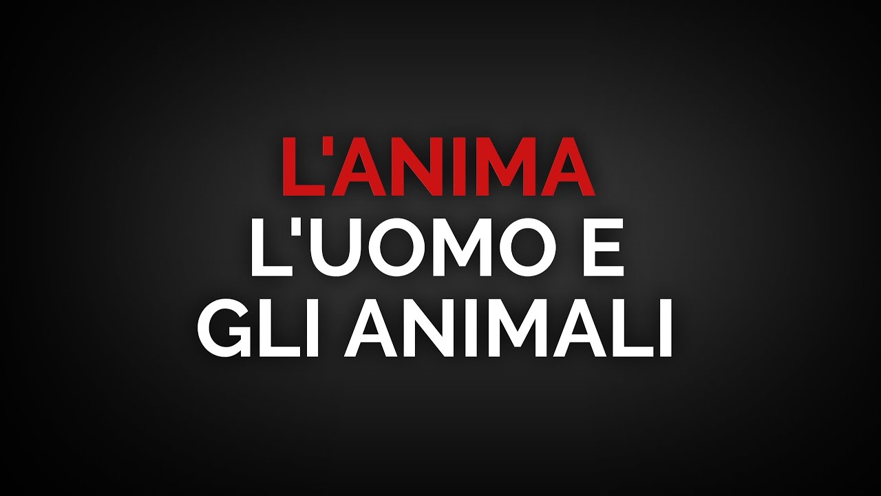 «Senza anima si ha valore» secondo "Osa Sapere" - YouTube