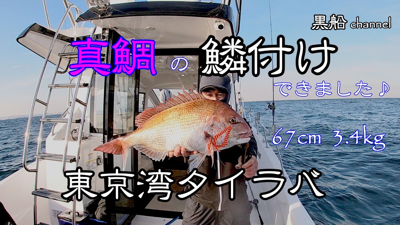 【DFR36FB】久しぶりの大鯛‼【竿リール】新調してめでたい鱗付け‼ - YouTube