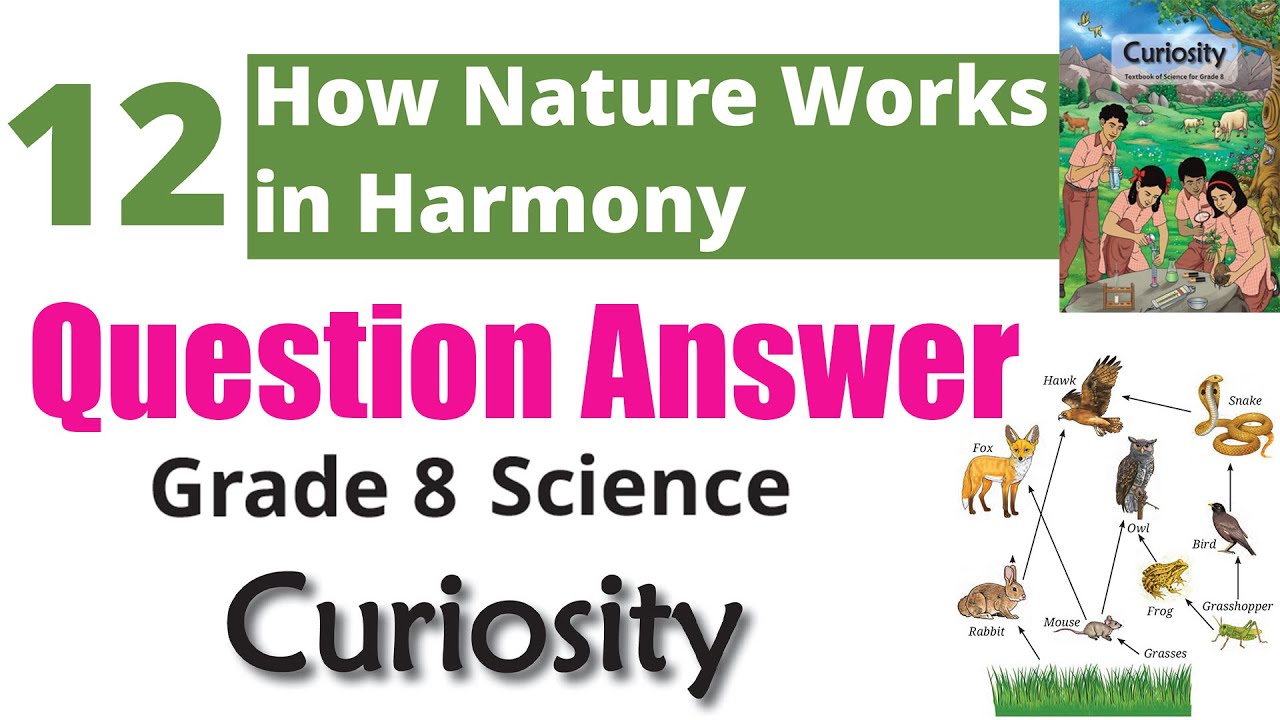 12. How Nature Works in Harmony - Question Answer | Class 8 Science ...