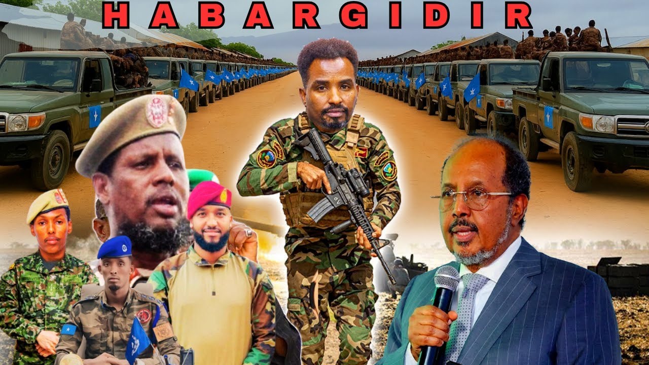 DEG DEG: Beesha Habar-Gidir oo isku dhaarsatay Dagaal, Gen, Indha cadde ...