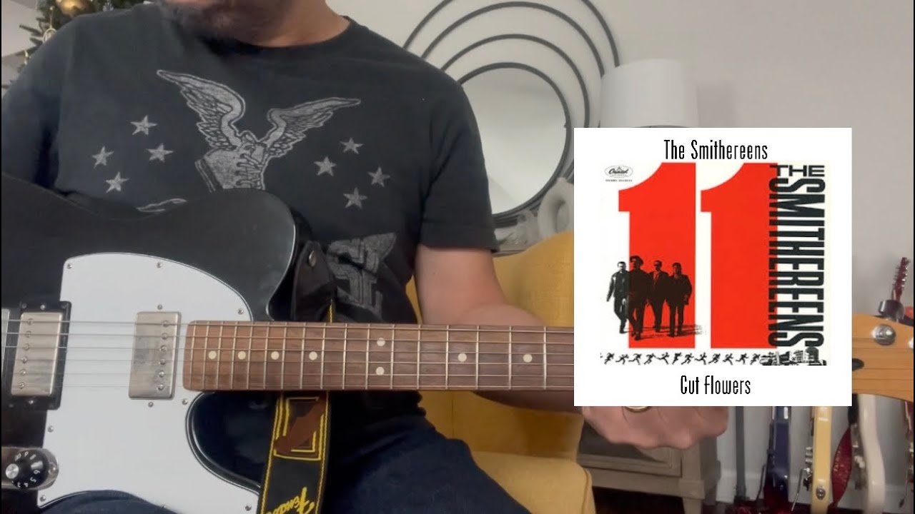 Cut Flowers by The Smithereens Guitar Cover-Lesson - YouTube