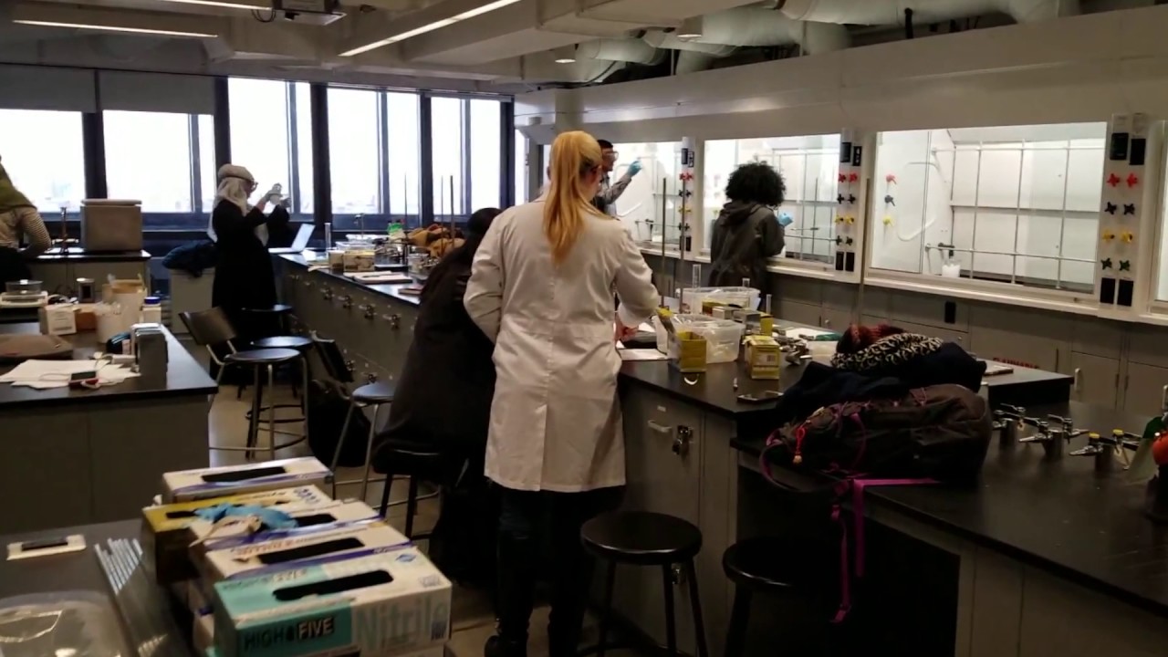 Mannequin Challenge: Science Lab - YouTube