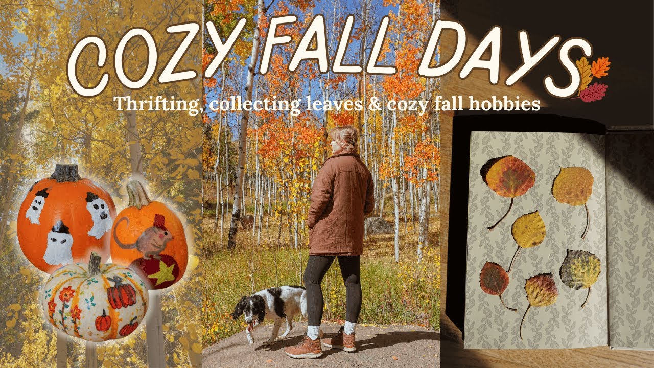 cozy fall days 🍁🍂 thrifting, collecting leaves & cozy fall hobbies ...