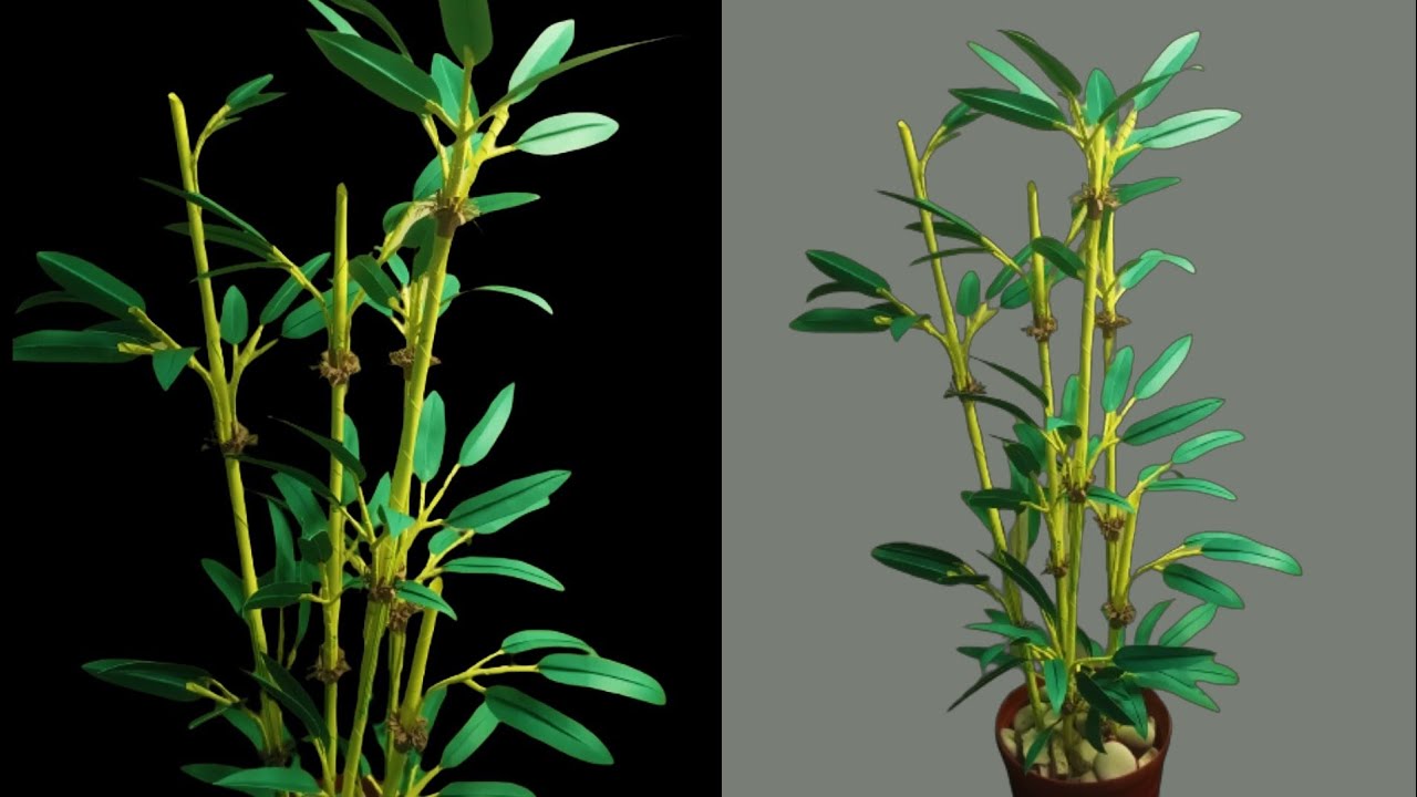DIY Pohon Bambu Dari Kertas •| How to Make Beautiful Bamboo from Papper ...