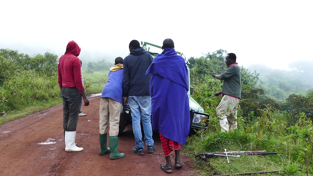 Safari Abenteuer Unfall 2 - YouTube
