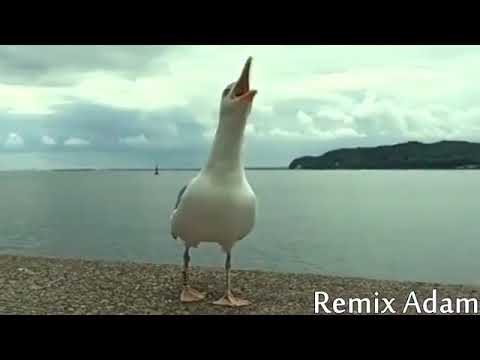 Remix Adam Martı Remix