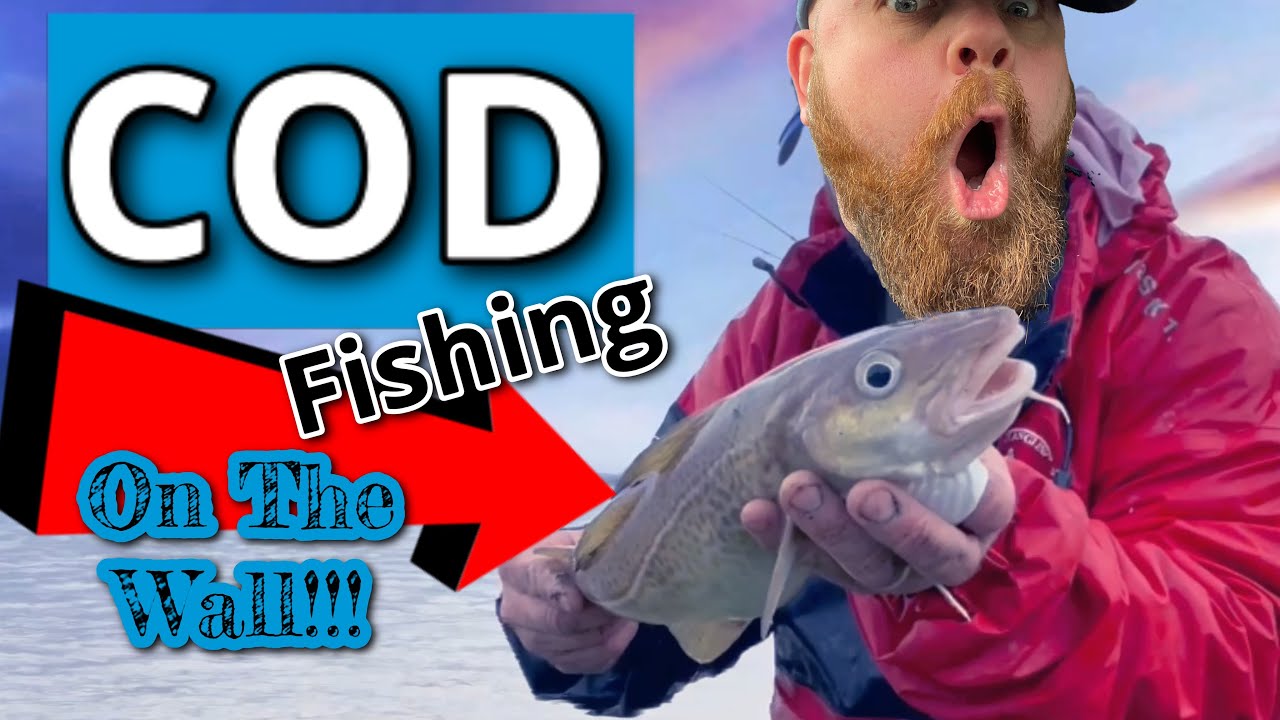 COD FISHING UK 2022 | SEA FISHING RIVER MERSEY | COD FATHER #seafishing ...