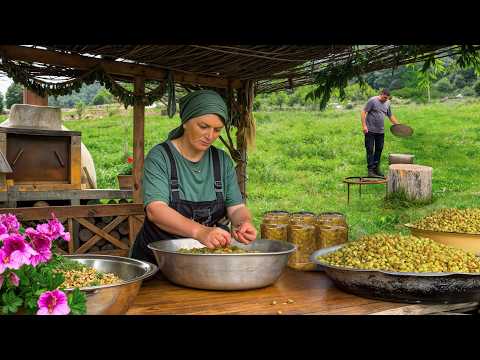 Rustic Mulberry Cooking – From Tree to Homemade Syrup & Jam